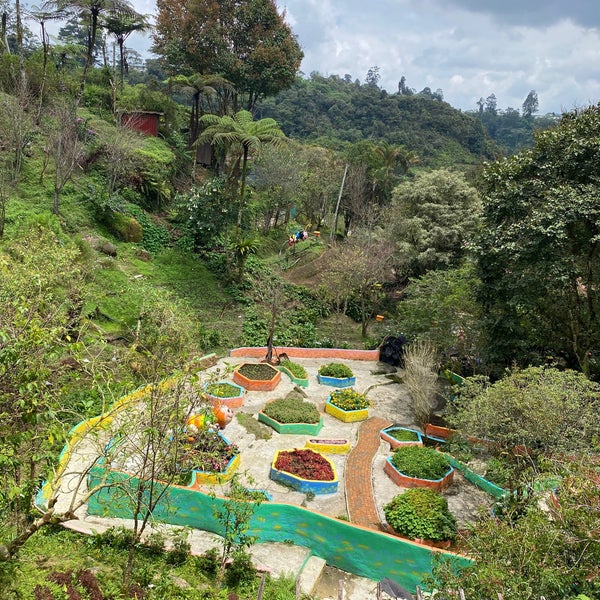 Bee Farm Cameron Highland - 20 tips