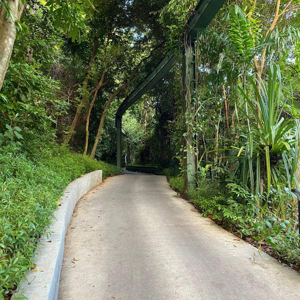 Imbiah Trails @ Sentosa Nature Discovery - Hiking Trail in Sentosa Island