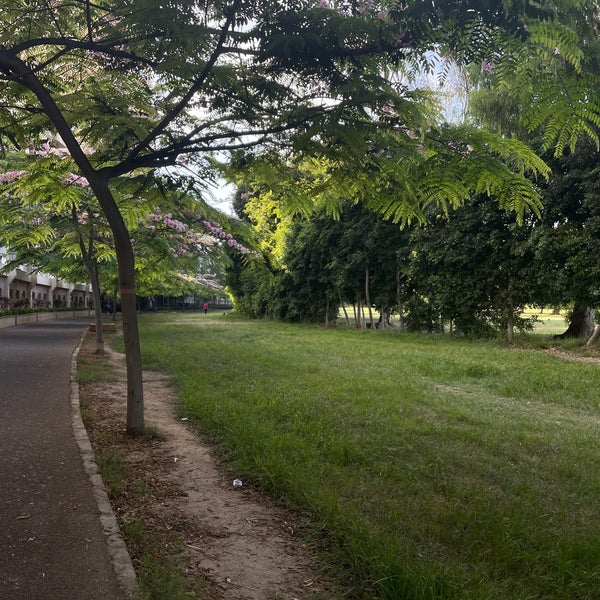 Photos at Alexandria Sporting Club | نادي سبورتينج الرياضي - Sports ...