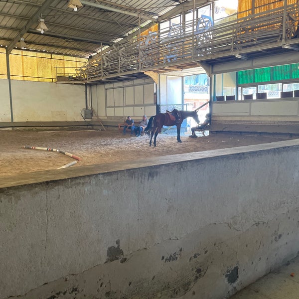 Photos at Alexandria Sporting Club | نادي سبورتينج الرياضي - Sports ...