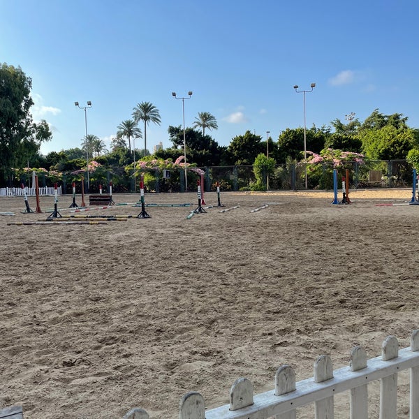 Photos at Alexandria Sporting Club | نادي سبورتينج الرياضي - Sports ...