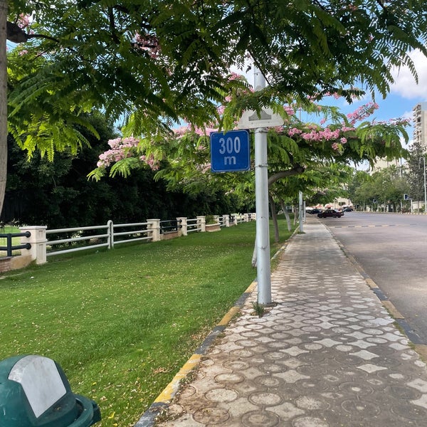 Photos at Alexandria Sporting Club | نادي سبورتينج الرياضي - Sports ...