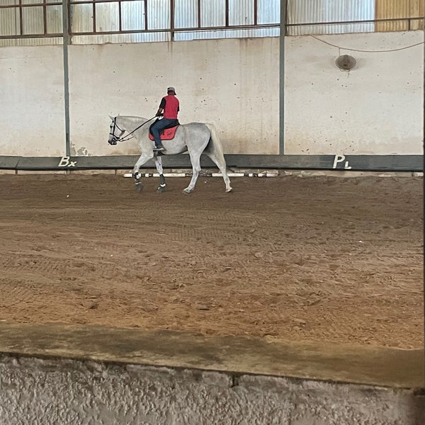 Photos at Alexandria Sporting Club | نادي سبورتينج الرياضي - Sports ...