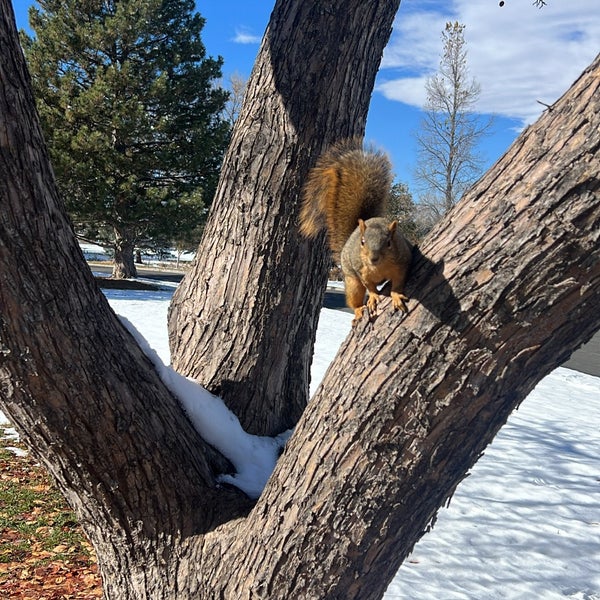 Fort Collins, CO - City