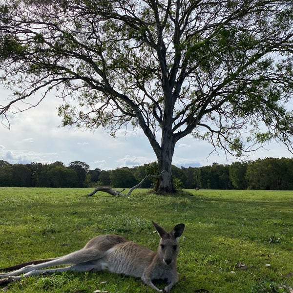 Coombabah Conservation Park - Coombabah, QLD