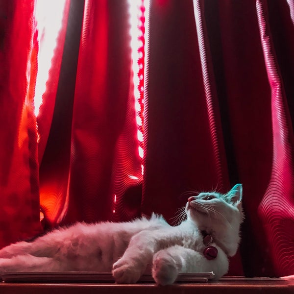 Kolej Bunga Raya - 26 tips from 1365 visitors