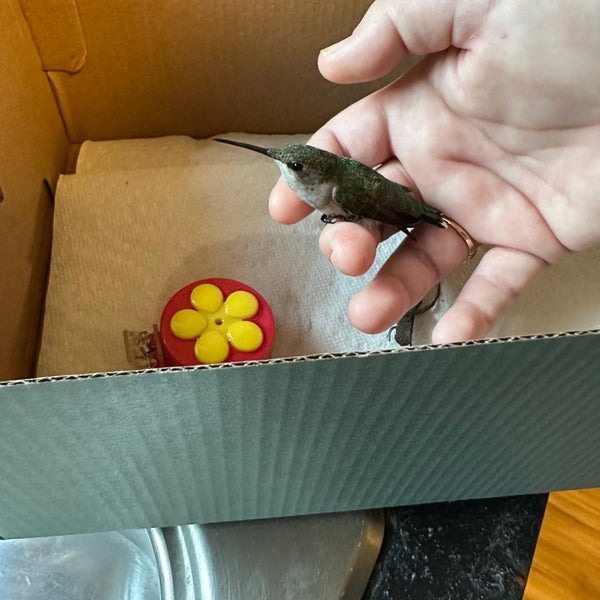 Lakeside Nature Center - 7 tips