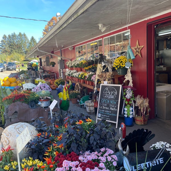 Salinger's Orchard Farm Market & Bakery - Farm in Brewster