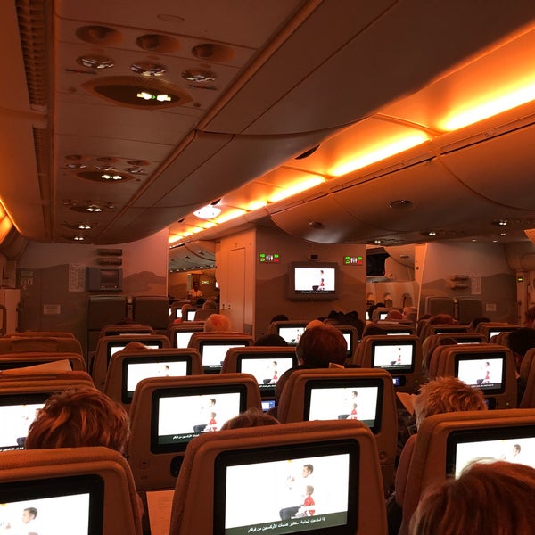 Emirates Flight EK449 - Plane in South Auckland