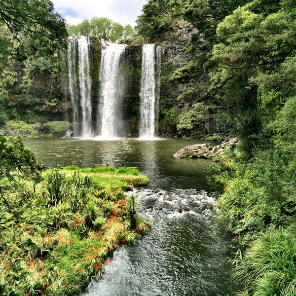 Whangarei Falls - Waterfall