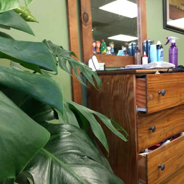 Randy's Hair Safari - 3 tips