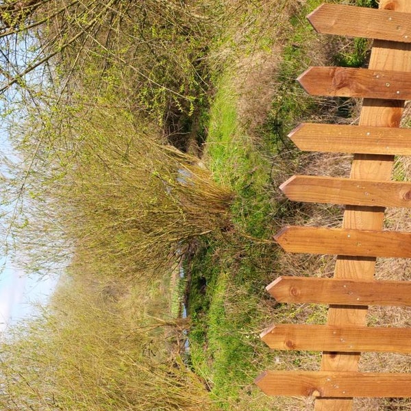 Bookham Railway Station (BKA) - 3 tips from 111 visitors