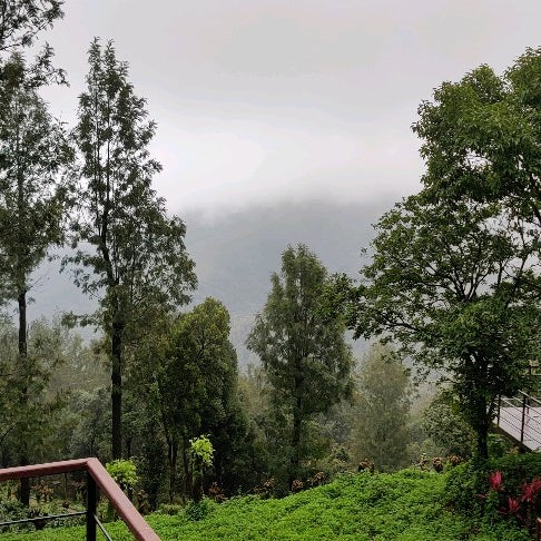 Trivik Spa & Resorts - Resort