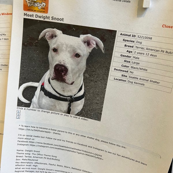 Seattle Animal Shelter - Animal Shelter in Seattle