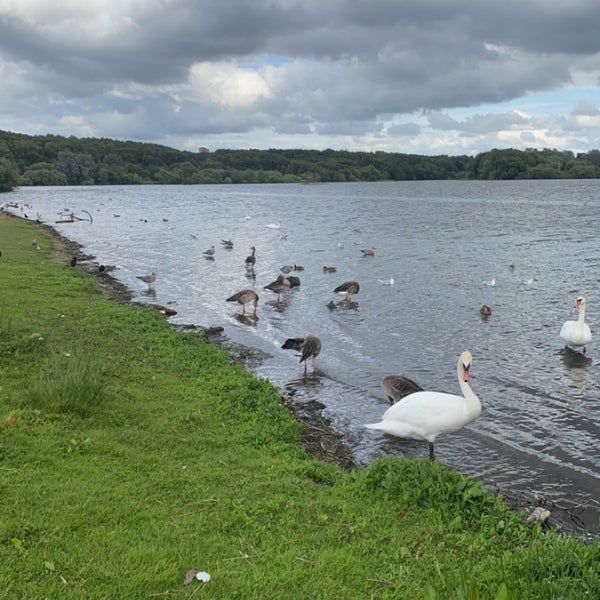 Strathclyde Country Park - Strathclyde Country Park