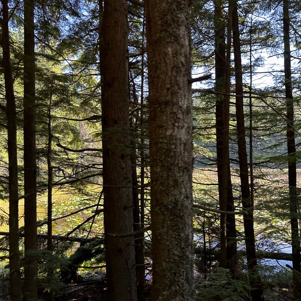 Moran State Park - State or Provincial Park