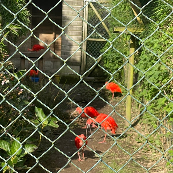 Exmoor Zoo - Zoo in Bratton Fleming