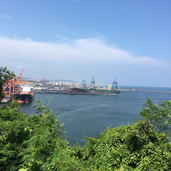 Dolphin Hill - 5 tips from 88 visitors