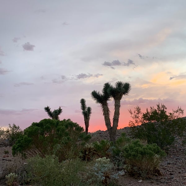 Bootleg Canyon Trails - 4 tips from 278 visitors