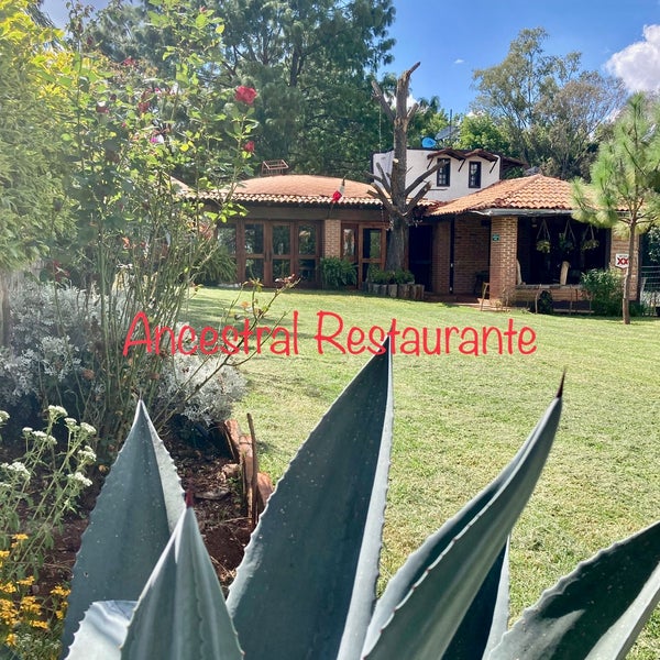 Ancestral Restaurante - Restaurant