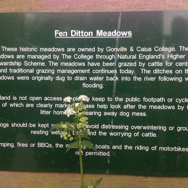 Fen Ditton Meadows - 1 tip