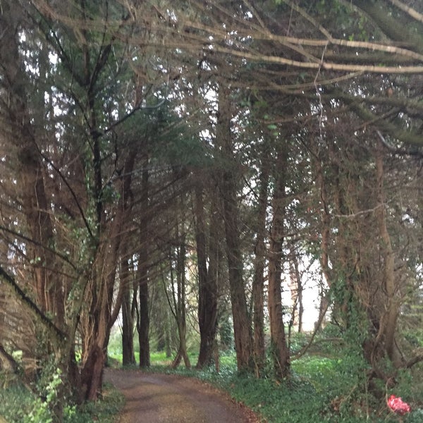 Shanganagh Park - Park