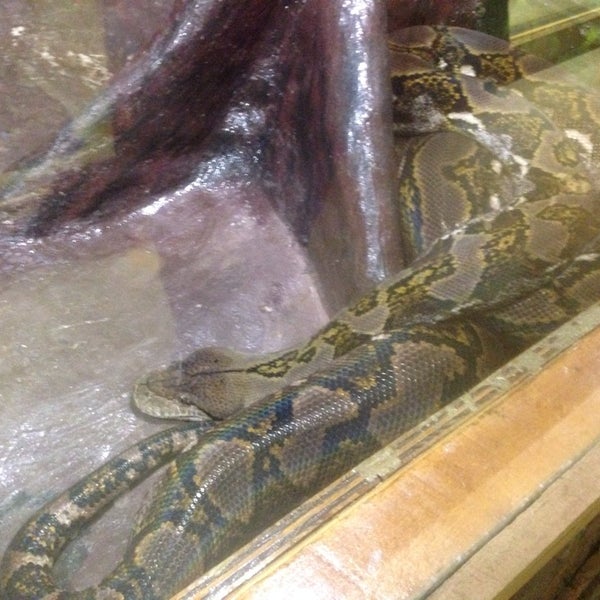Kentucky Reptile Zoo - Slade, KY