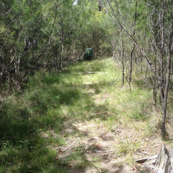 Mount Petrie Bowmen - Belmont, QLD