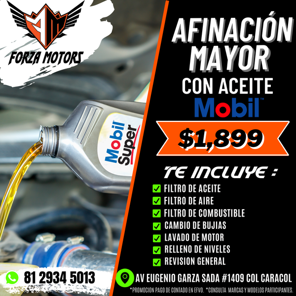 FORZA MOTORS - Auto Workshop