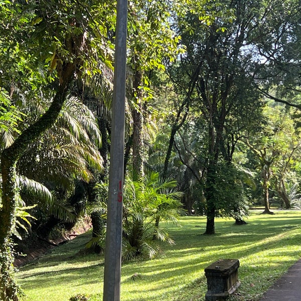 Photos at Tanglin Park Swimming Pool