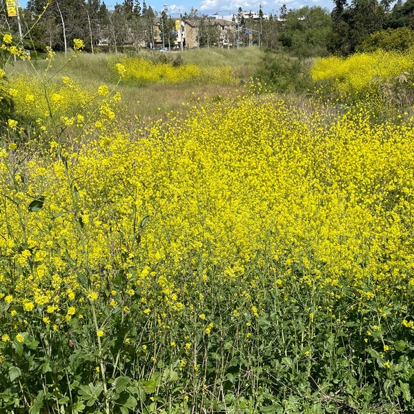 University of California, Irvine Extension - University of California ...