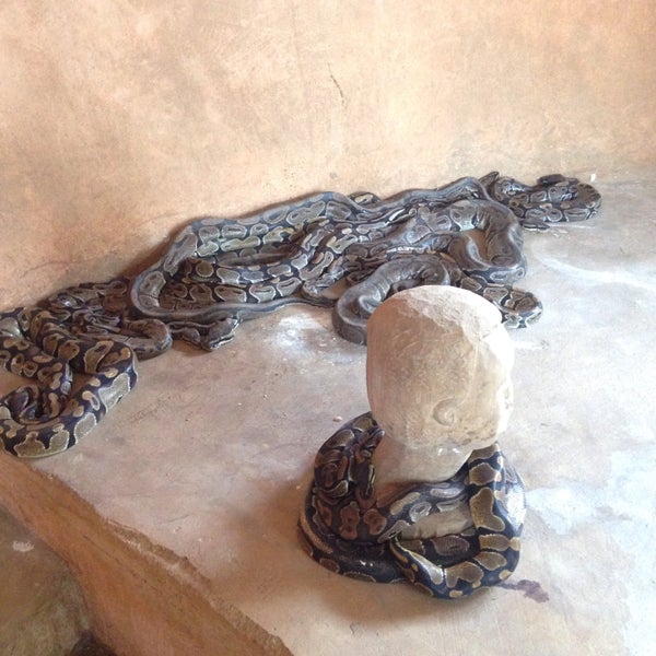 Temple des Pythons - Temple in Ouidah