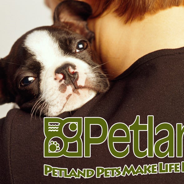 Petland Frisco - Pet Supplies Store