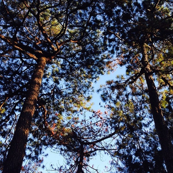 Leonard Wood Road - Benguet, Benguet