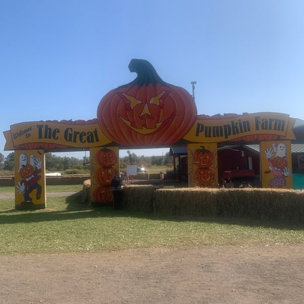 The Great Pumpkin Farm - 13 tips from 980 visitors