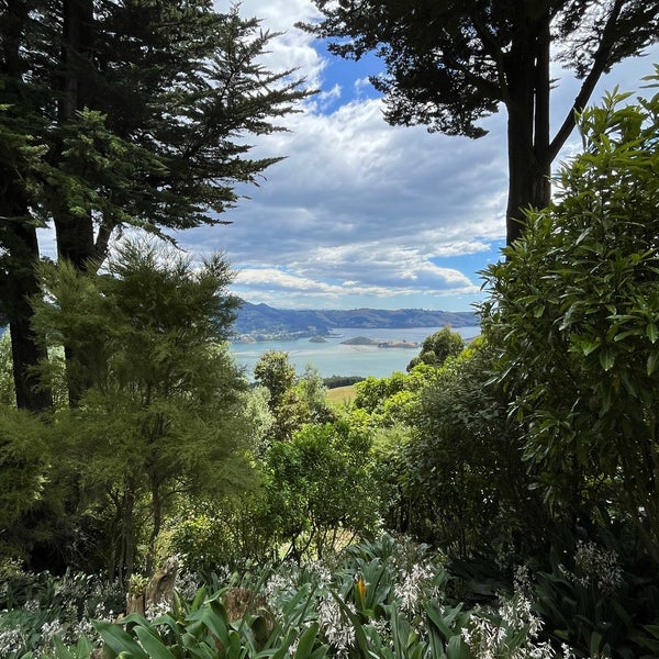 Larnach Castle - 11 tips from 789 visitors