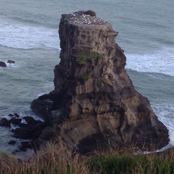 Waiake Beach - Torbay, Auckland