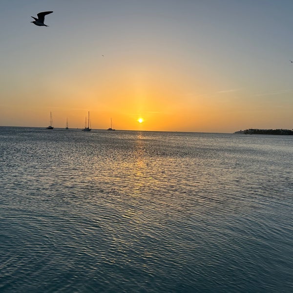 Barefoot Restaurant - 36 tips from 799 visitors