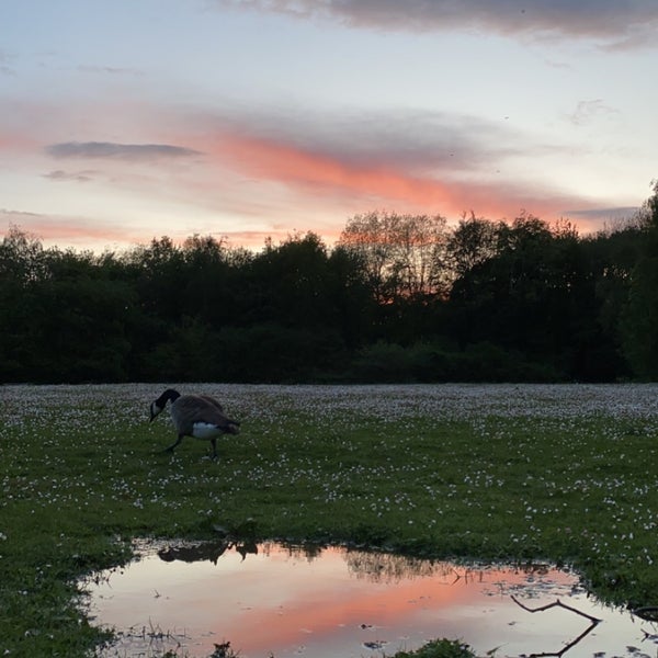 Colwick Country Park - 4 tips from 227 visitors