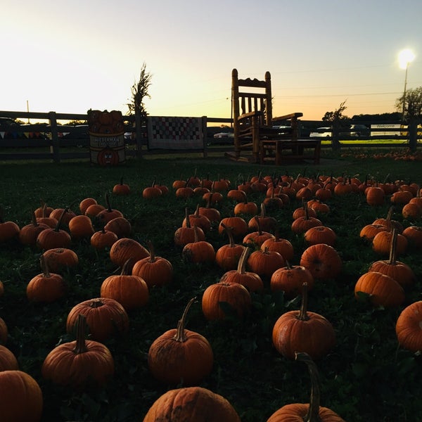 Photos at Niederman Family Farm - Farm