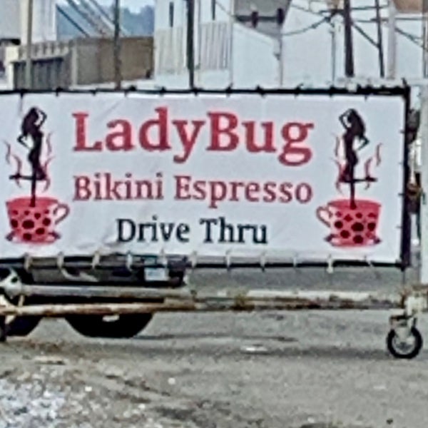 Ladybug Espresso
