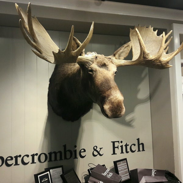 Abercrombie Moose Head