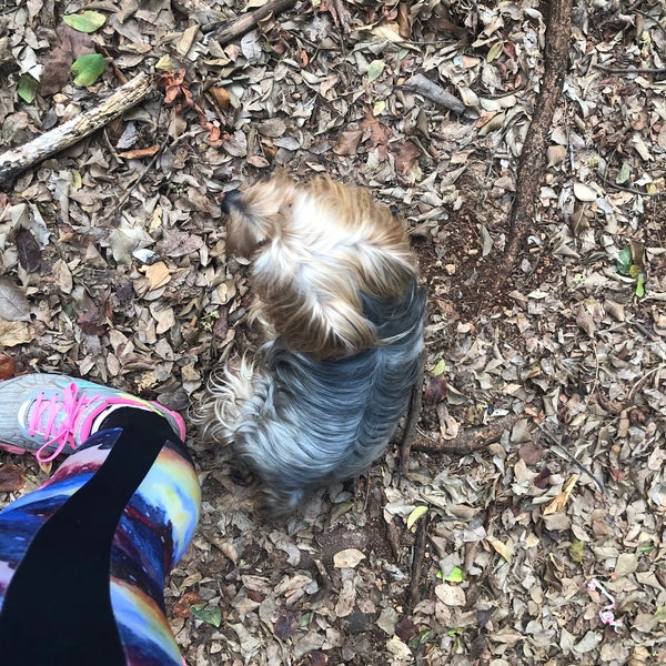 Parque Las Praderas - Park in Santo Domingo