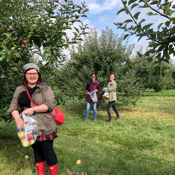 Dixie Orchards - Farm