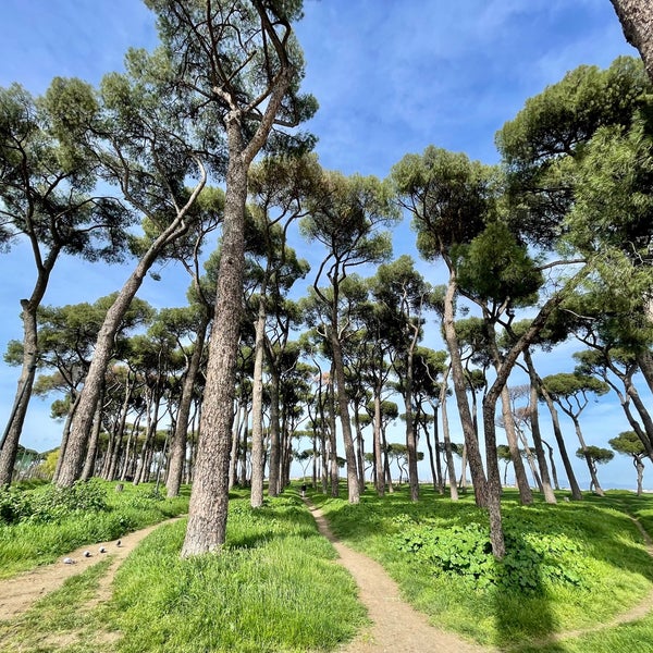 Parco Regionale Del Pineto - Park in Primavalle