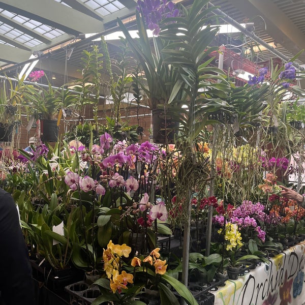 Photos at San Francisco County Fair Building - Golden Gate Park - 1 tip