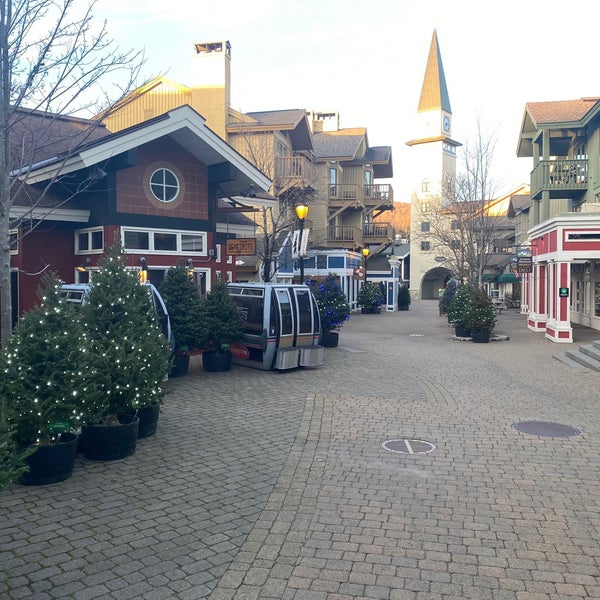 Are Dogs Allowed In Stratton Village