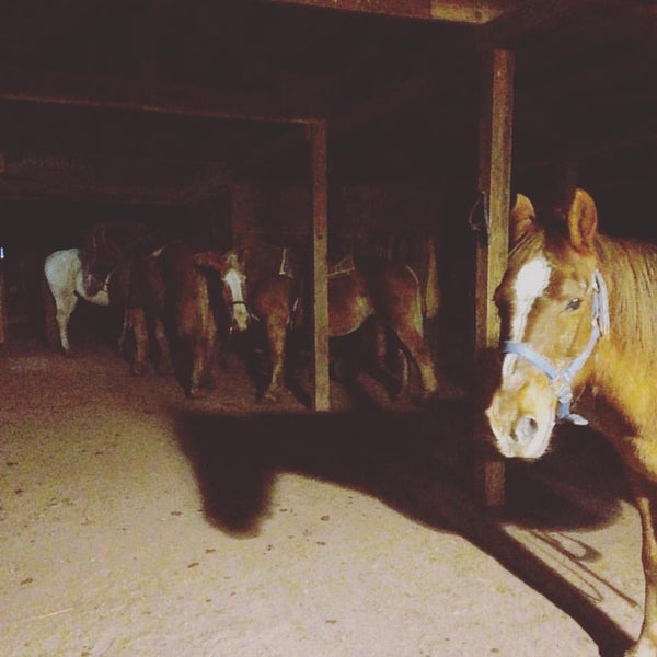 Bailiwick Ranch & Discovery Zoo - Other Great Outdoors