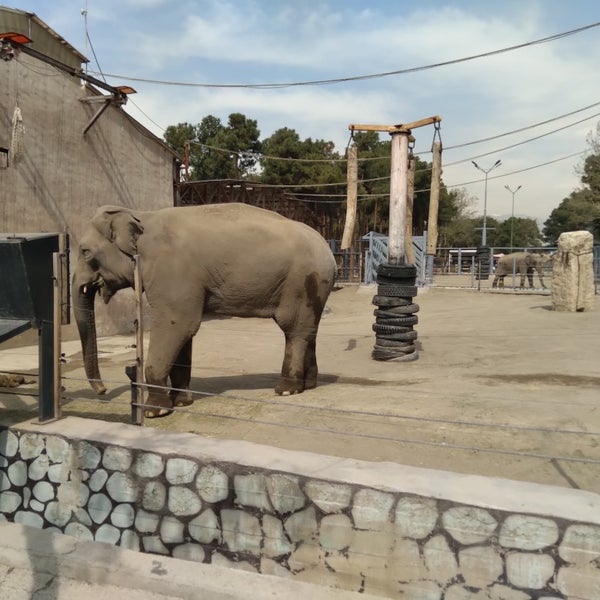 Photos at Tehran Zoo | باغ وحش تهران - منطقه ۵ - Eram Park