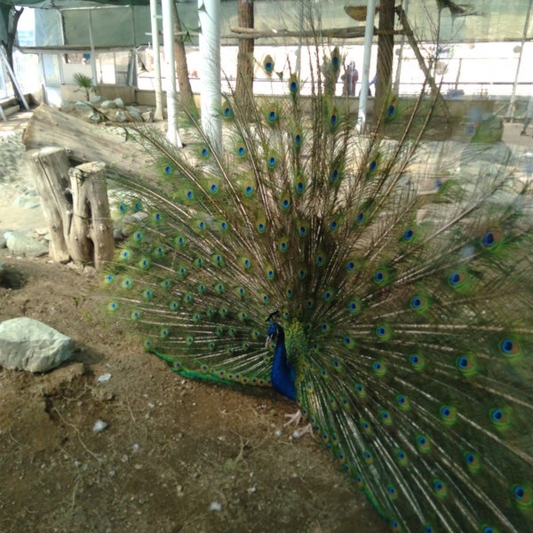 Photos at Tehran Zoo | باغ وحش تهران - منطقه ۵ - Eram Park